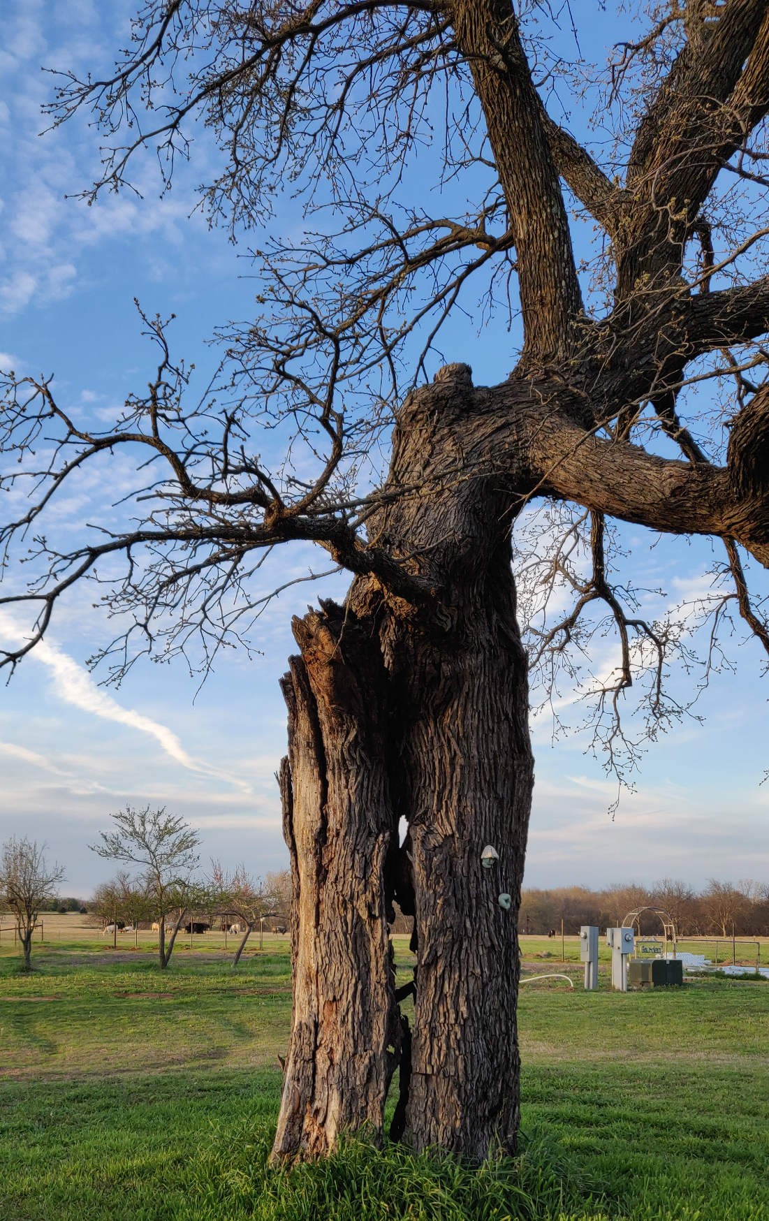 Split Oak Ranch