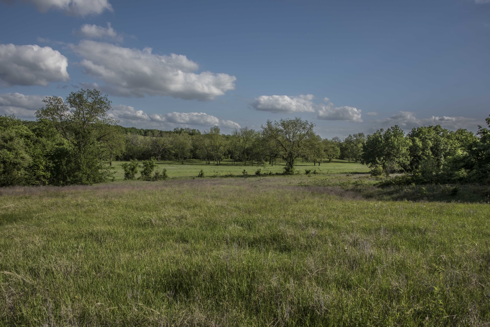 Split Oak Ranch